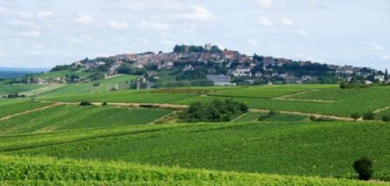 Sancerre